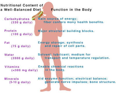 Health: Nutrition for Humans